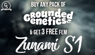 Marijuana seeds promotions