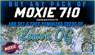 Marijuana seeds promotions