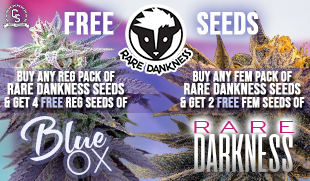 Marijuana seeds promotions