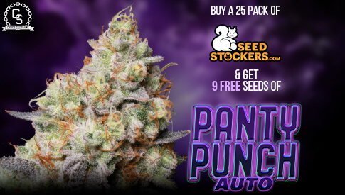 The Choice Seedbank - Buy Cannabis Seeds Online | Best Marijuana Seeds UK